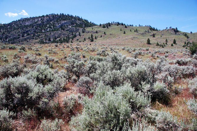 South Okanagan Desert Tour - Birdwatching at Vaseux Lake Provincial Park