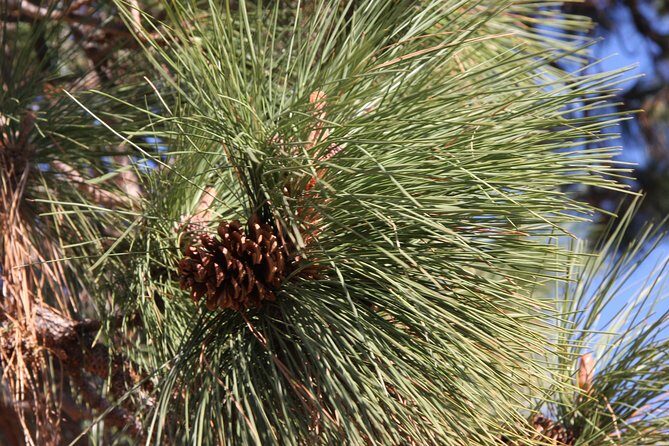 South Okanagan Desert Tour - Price and Value
