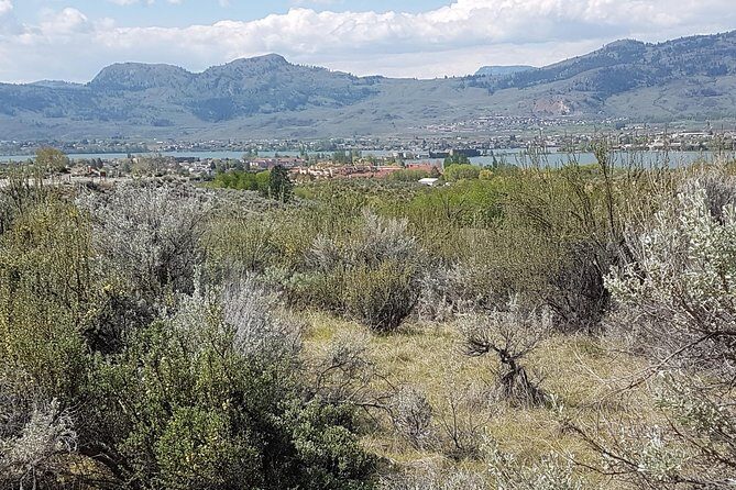 South Okanagan Desert Tour - Who Should Consider This Tour?