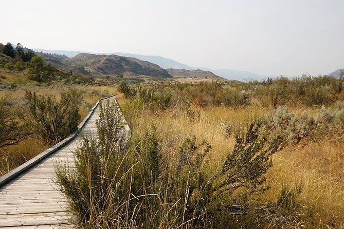 South Okanagan Desert Tour - The Sum Up: An Authentic Taste of the South Okanagan