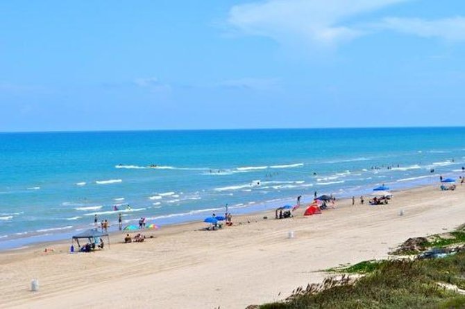 South Padre Island Sandcastling Experience - Additional Information for Your Sandcastling Experience