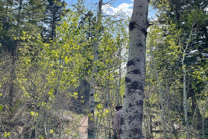 South Pass City Historical Tour - Who Should Consider This Tour?