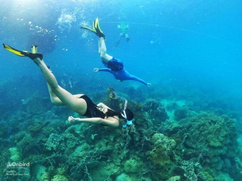 South Phu Quoc: Pro Snorkeling Tour by Speedboat - Who Will Love This Tour?