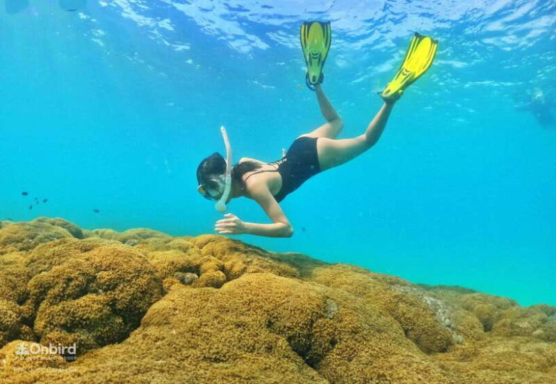 South Phu Quoc: Pro Snorkeling Tour by Speedboat - Final Thoughts