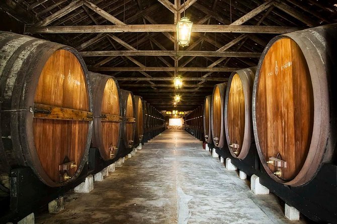 South Portugal Wine Route Private Full Day Tour from Lisbon - Key Points