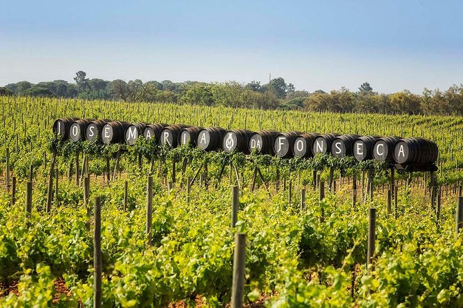 South Portugal Wine Route Private Full Day Tour from Lisbon - FAQ