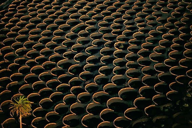 South Route Natural Pools, Las Salinas and La Geria - Tips for an Enjoyable Experience