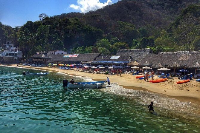 South Shore Private Sightseeing Cruise in Puerto Vallarta - What Do Guests Say?