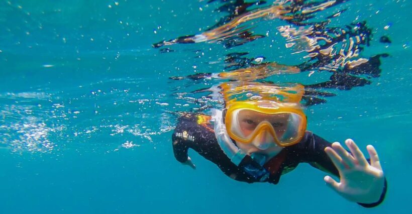 South Tenerife: Guided Snorkeling - Exploring the South Tenerife Guided Snorkeling Tour