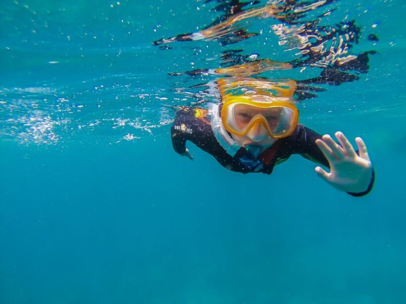 South Tenerife: Guided Snorkeling - The Practicalities: What You Should Know