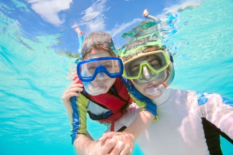 South Tenerife: Guided Snorkeling - Who Should Book This Tour?