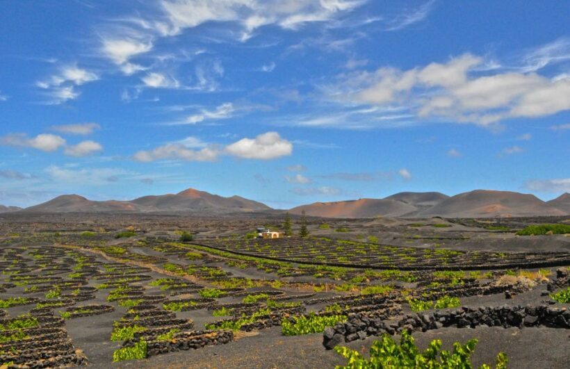 South Tour: Timanfaya National Park - How the Experience Feels in Practice