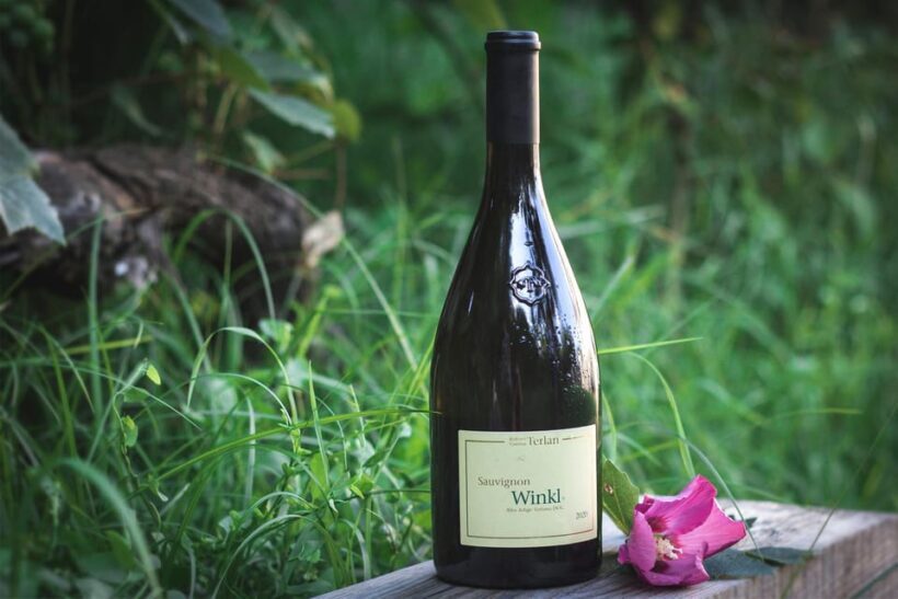 South Tyrolean specialties and wine tasting - The value of this experience