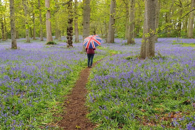 Southampton Port to London - Transfer With Sightseeing - Sightseeing Opportunities Along the Route