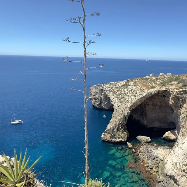 Southern Beauties: Marsaxlokk and Blue Cave TOUR IN PORTUGUESE - Who Should Consider This Tour?