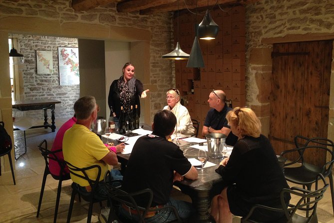 Southern Burgundy Wine Tour - Full Day Shared tour from Lyon - Practical Details and Tips