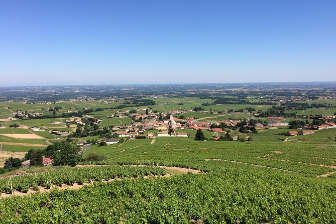 Southern Burgundy Wine Tour - Full Day Shared tour from Lyon - FAQ