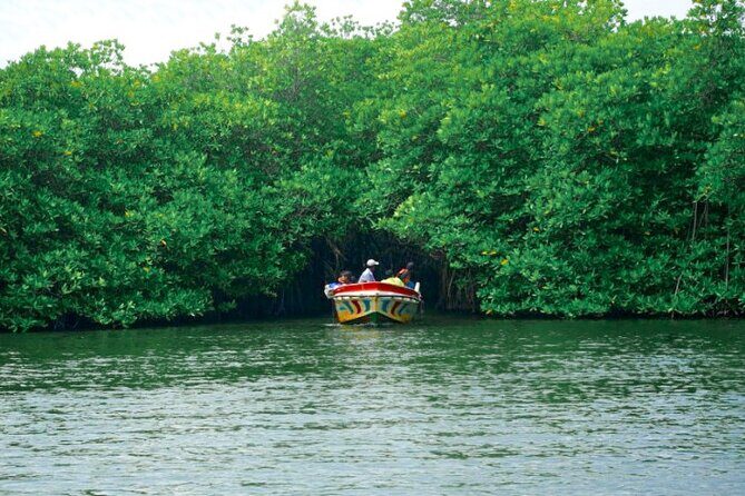Southern Coast Highlights and River Safari from Balapitiya - Who Will Love This Tour?