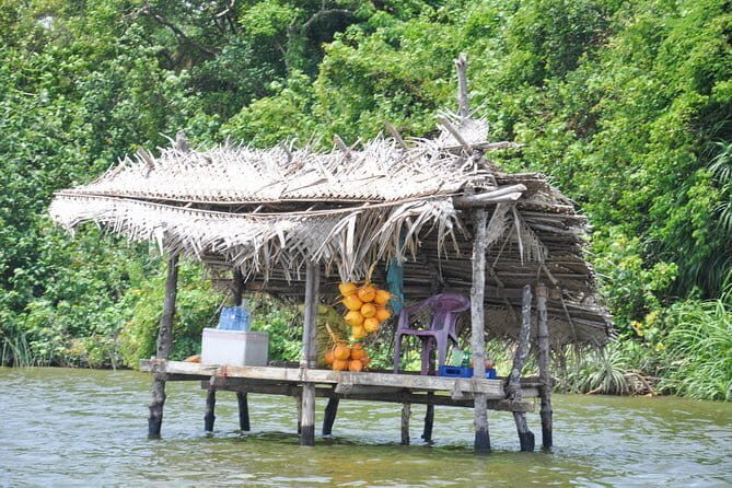 Southern Coast Highlights and River Safari from Bentota - Exploring the Itinerary: What to Expect