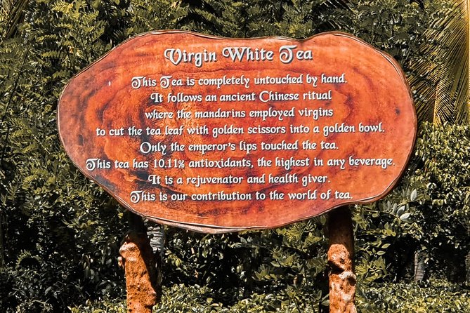 Southern Coast Highlights from Colombo - Why This Tour Offers Good Value