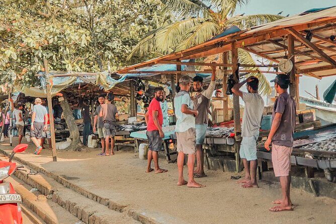 Southern Coast Highlights from Colombo Seaport - Final Thoughts