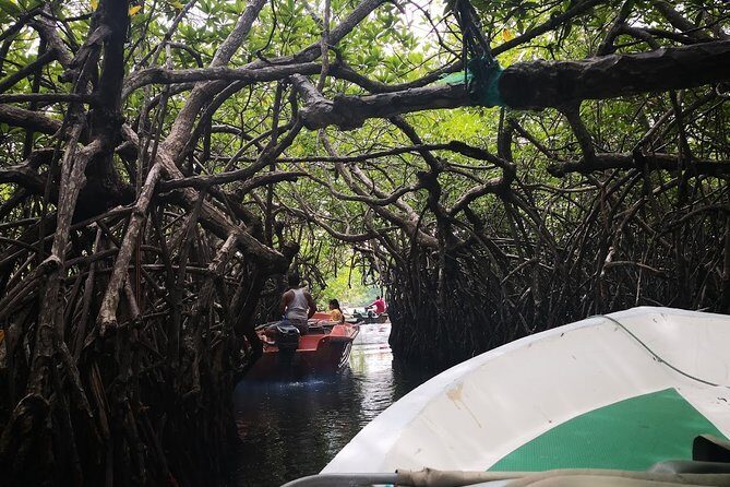 Southern Coast Highlights from Mount Lavinia - An Introduction to the Tour Experience