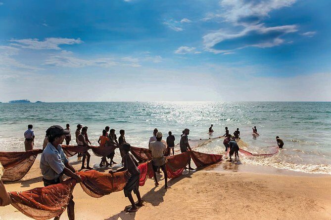 Southern Coast Highlights from Unawatuna - Transportation and Timing