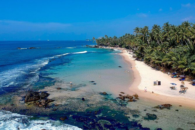 Southern Coast Highlights from Unawatuna - Who Should Consider This Tour?