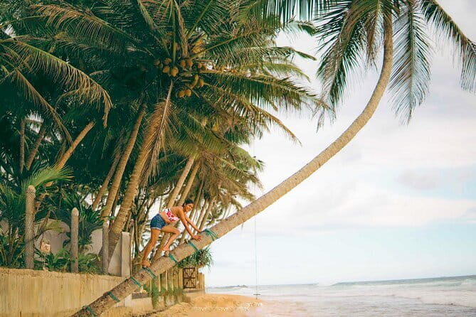 Southern Coast Highlights from Wadduwa - The Sum Up