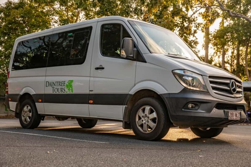 Southern Daintree Explorer Tour - Half Day - A Closer Look at the Itinerary and Experience