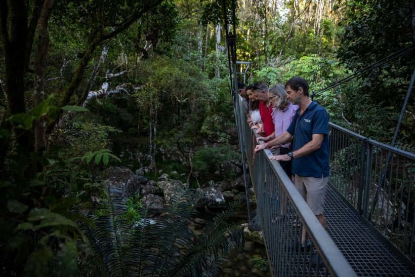Southern Daintree Explorer Tour - Half Day - FAQ