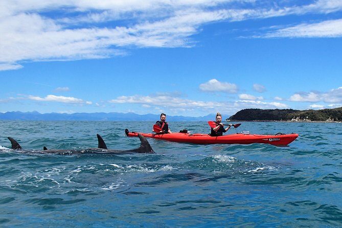 Southern Duo kayak & walk tour - Frequently Asked Questions