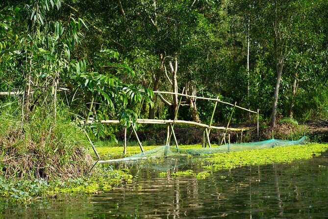 Southern Forest Tour  Explore Hau Giang Nature - Who Will Love This Tour?