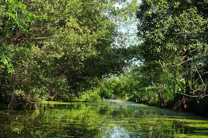 Southern Forest Tour  Explore Hau Giang Nature - The Sum Up