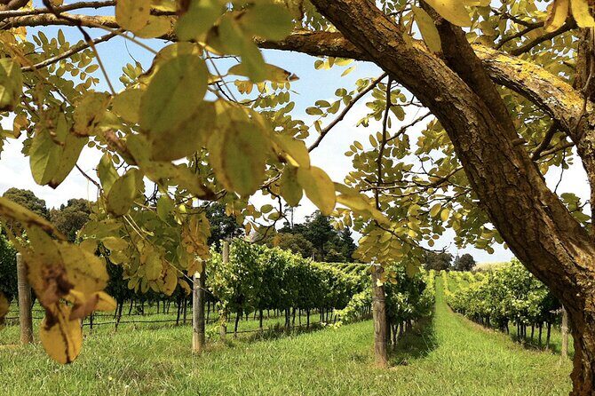 Southern Highlands Private Tour with Wine, Waterfall and Garden - What to Expect from the Tour