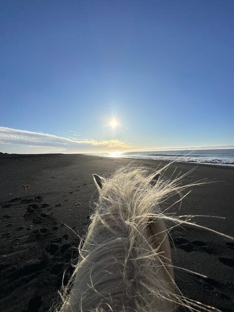 southern Iceland: Black beach riding tour - Exploring the Experience