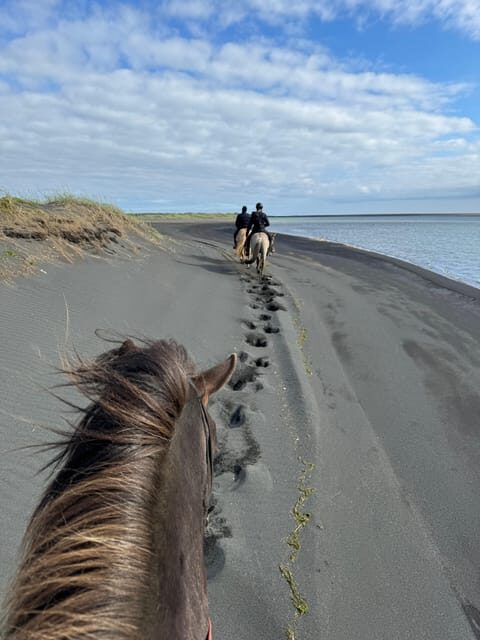 southern Iceland: Black beach riding tour - Who Will Love This Tour?