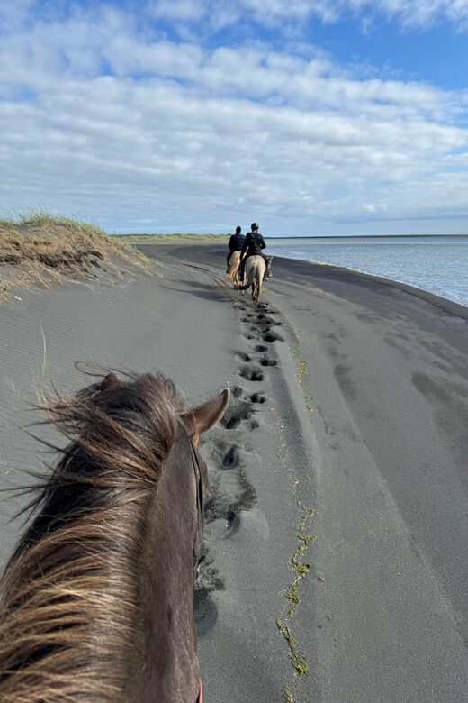 southern Iceland: Black beach riding tour - FAQ