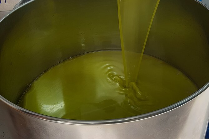 Southern Istria guided tour - Who Would Love This Tour?