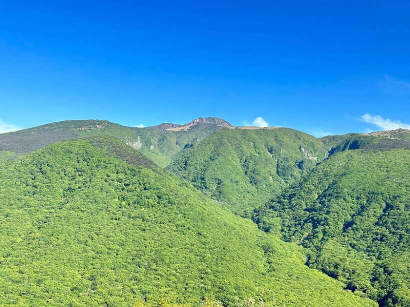 Southern Jeju Healing UNESCO Small Group Day Tour - What Makes This Tour Stand Out?