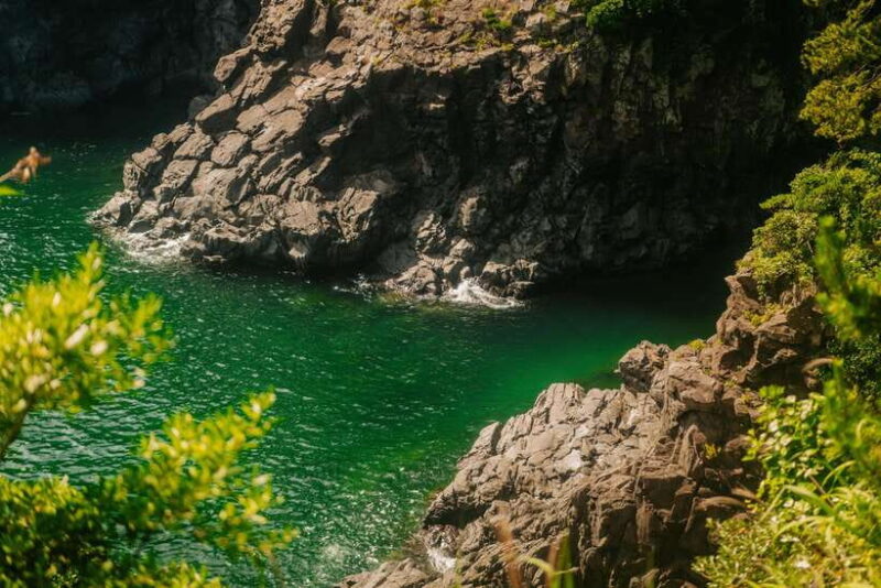 Southern Jeju Healing UNESCO Small Group Day Tour - FAQ: Practical Questions Answered