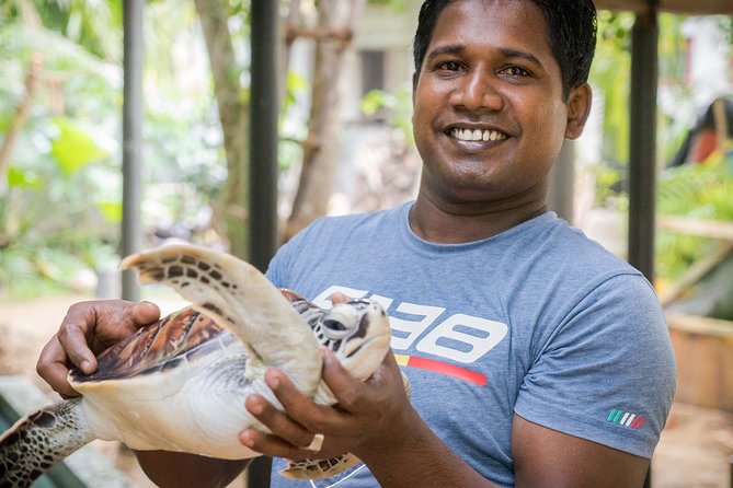 Southern Sri Lanka Sightseeing Day Trip From Colombo & Negombo - Final Thoughts: Is It Worth It?