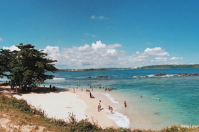 Southern Sri Lanka Sightseeing Day Trip From Colombo & Negombo - Recommendations for Travelers