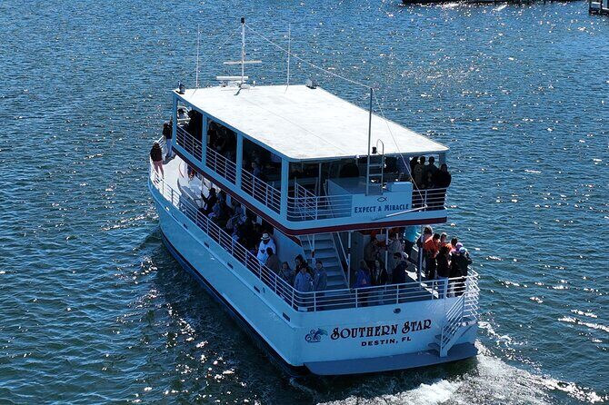Southern Star Dolphin Cruise in Destin - The Sum Up: Why This Tour Offers Value and Authenticity
