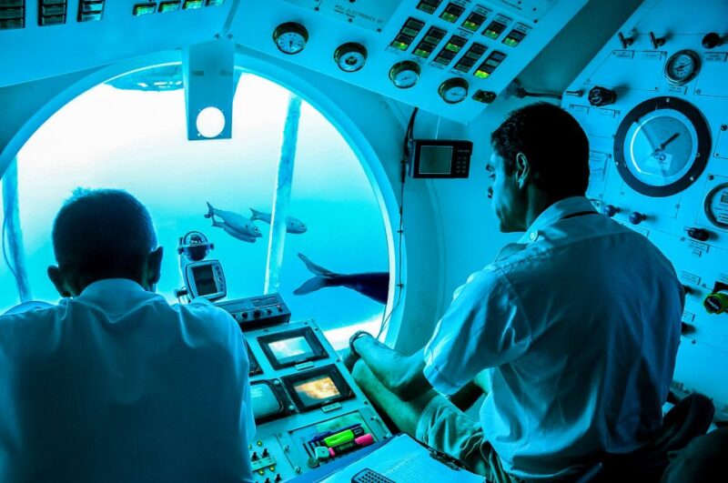 Southern Tenerife: 50-Minute Submarine Dive - Why This Tour Offers Great Value