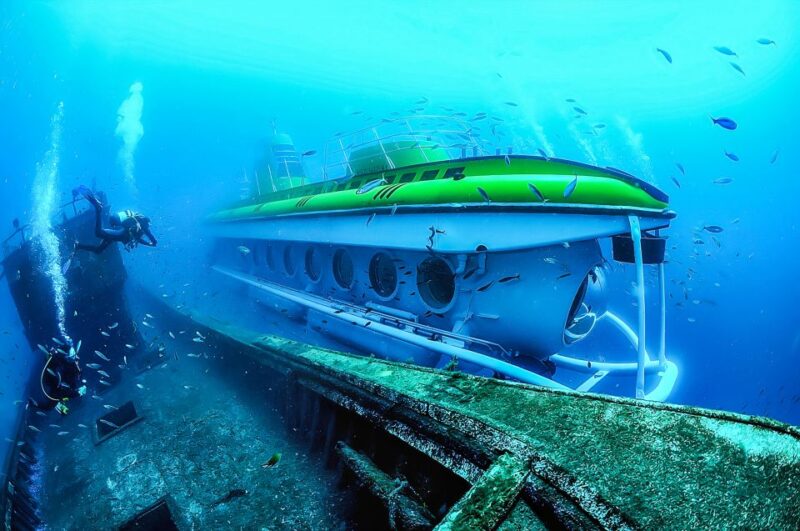 Southern Tenerife: 50-Minute Submarine Dive - Who Will Appreciate This Tour Most?