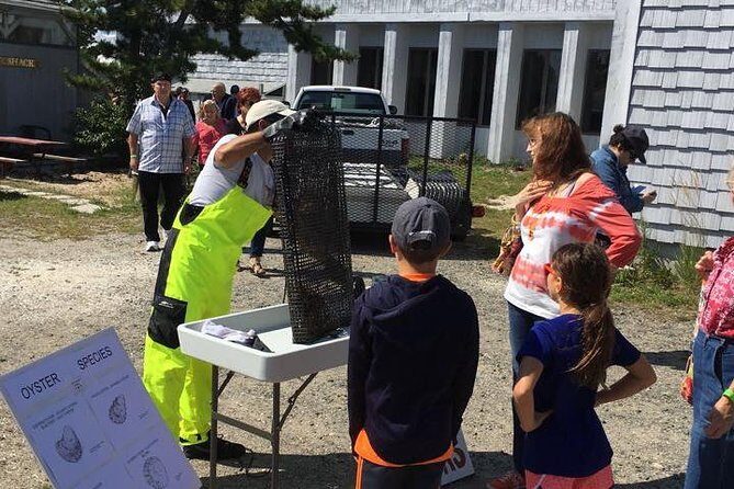 Southold Bay Oyster Farm Tour - Final Thoughts