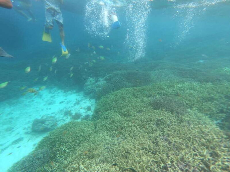 SouthWest Secret Gili,Gili Layar,Gili Gede&Gili Rengit - Key Points