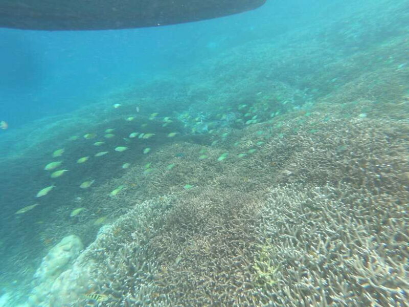 SouthWest Secret Gili,Gili Layar,Gili Gede&Gili Rengit - Practical Tips for a Smooth Day