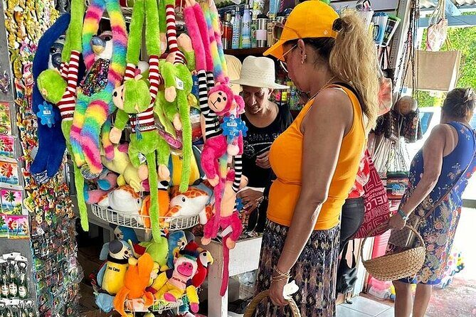 Souvenir Shopping Tour in Punta Cana Transportation Included - Who Should Consider This Tour?